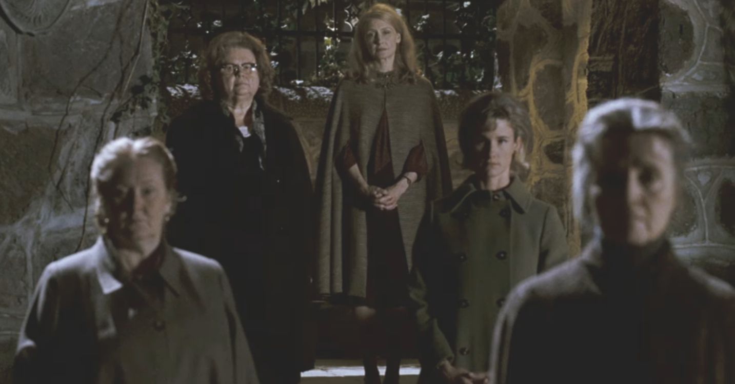 El bosque maldito - Tu web de ocio